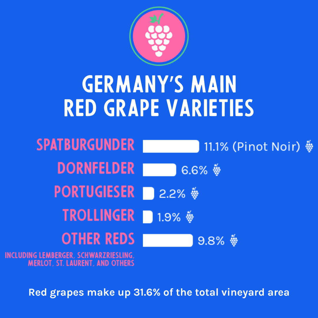 Decoding Deutschland: Germany’s Main Grape Varieties - Clink Different